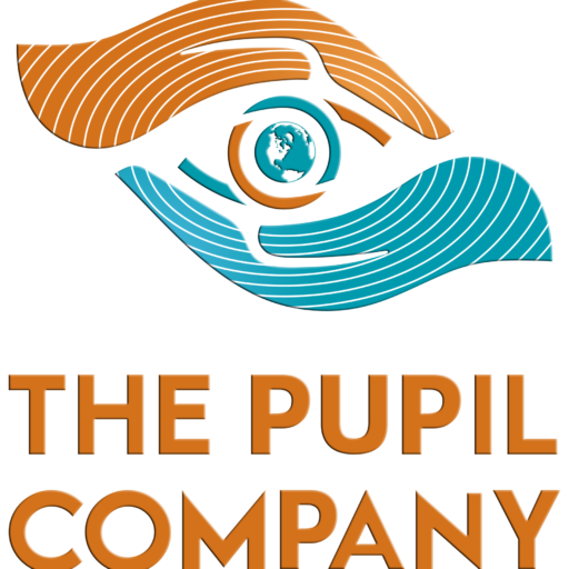 The Dangerous and Glorious “Why” – The Pupil Company